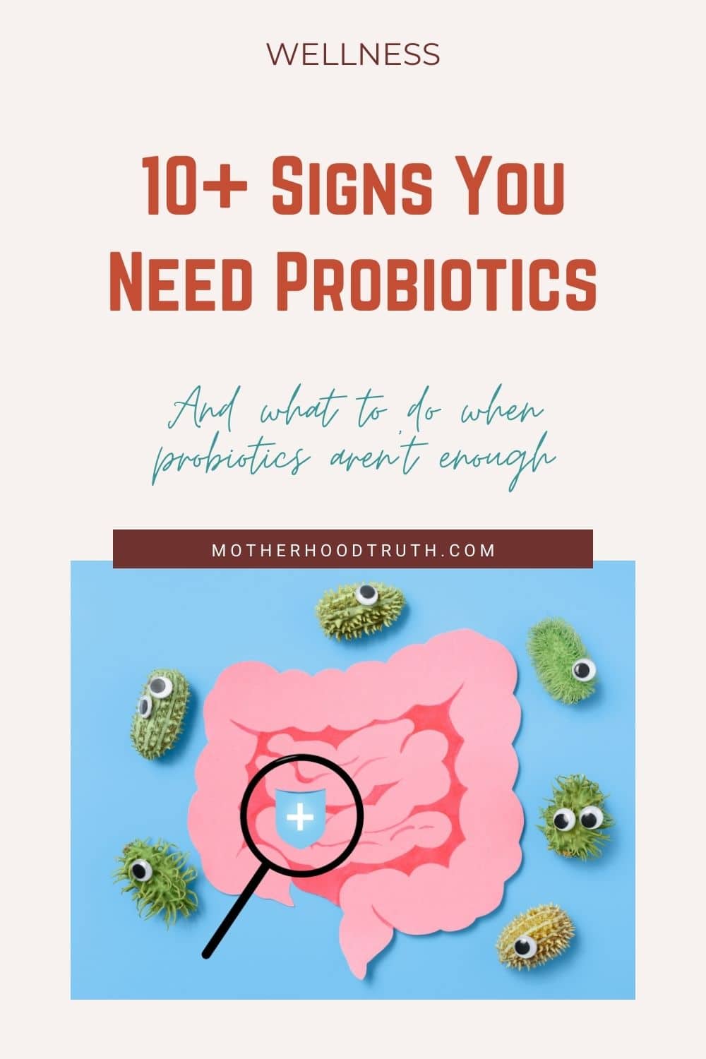 Top 10+ Signs You Need Probiotics: A Comprehensive Guide to Gut Health ...